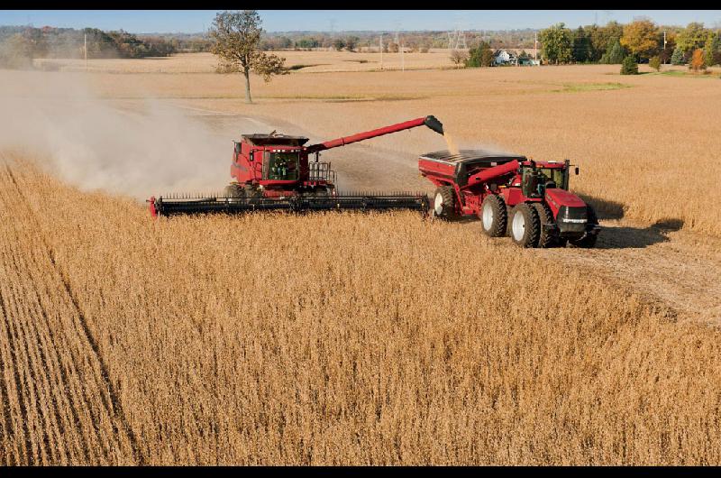 Recomendaciones para una cosecha eficiente :: El Diario de La Pampa