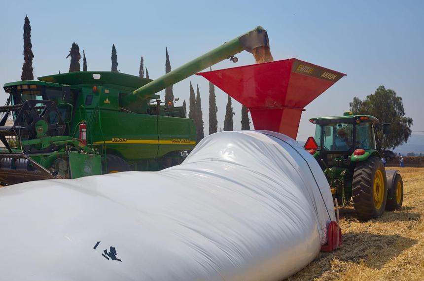 Almacenamiento de trigo en "silo bolsa" :: El Diario de La Pampa