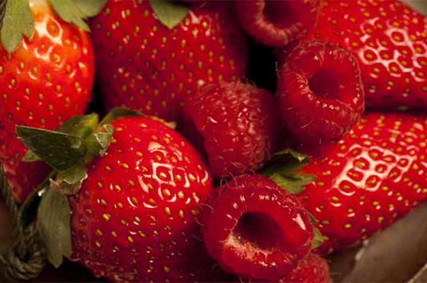 ¿Lo sabía? Estos son los beneficios de consumir alimentos rojos :: El ...