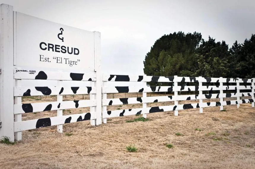 Cresud sale de compras y paga U$S 4,5 millones por un campo en La Pampa ...
