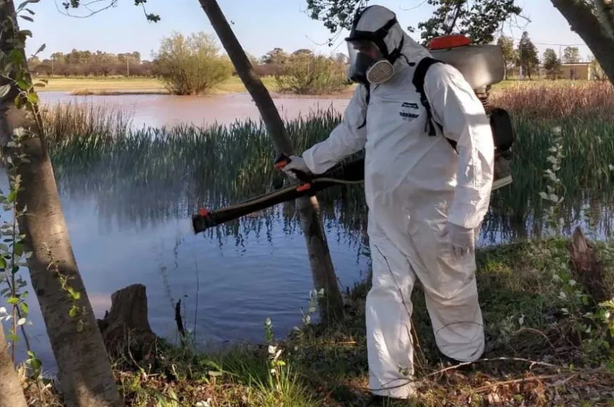 El municipio intensifica las acciones para prevenir el dengue :: El ... El municipio intensifica las acciones para prevenir el dengue :: El ...