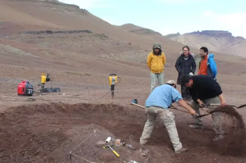 Descubrieron en la Patagonia el mamífero más grande que convivió con ...