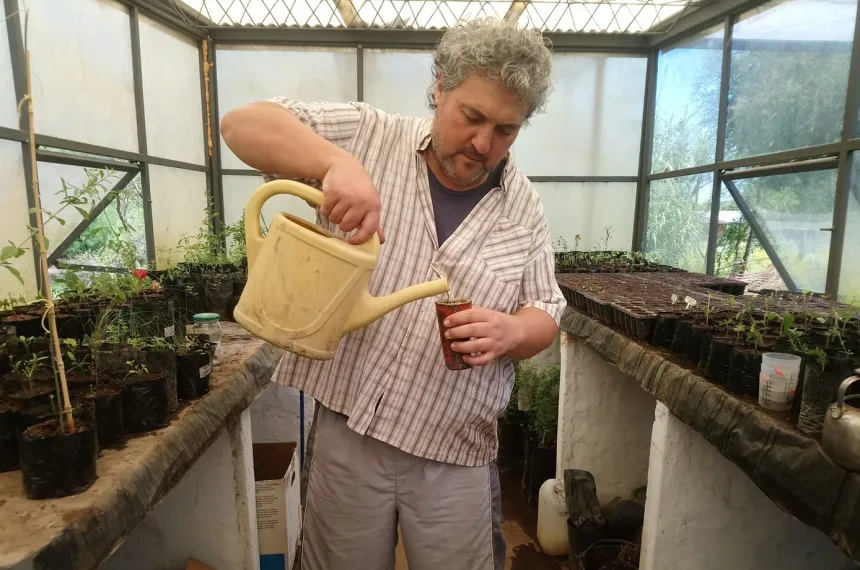 Charla sobre plantas nativas en el Lowo Che :: El Diario de La Pampa